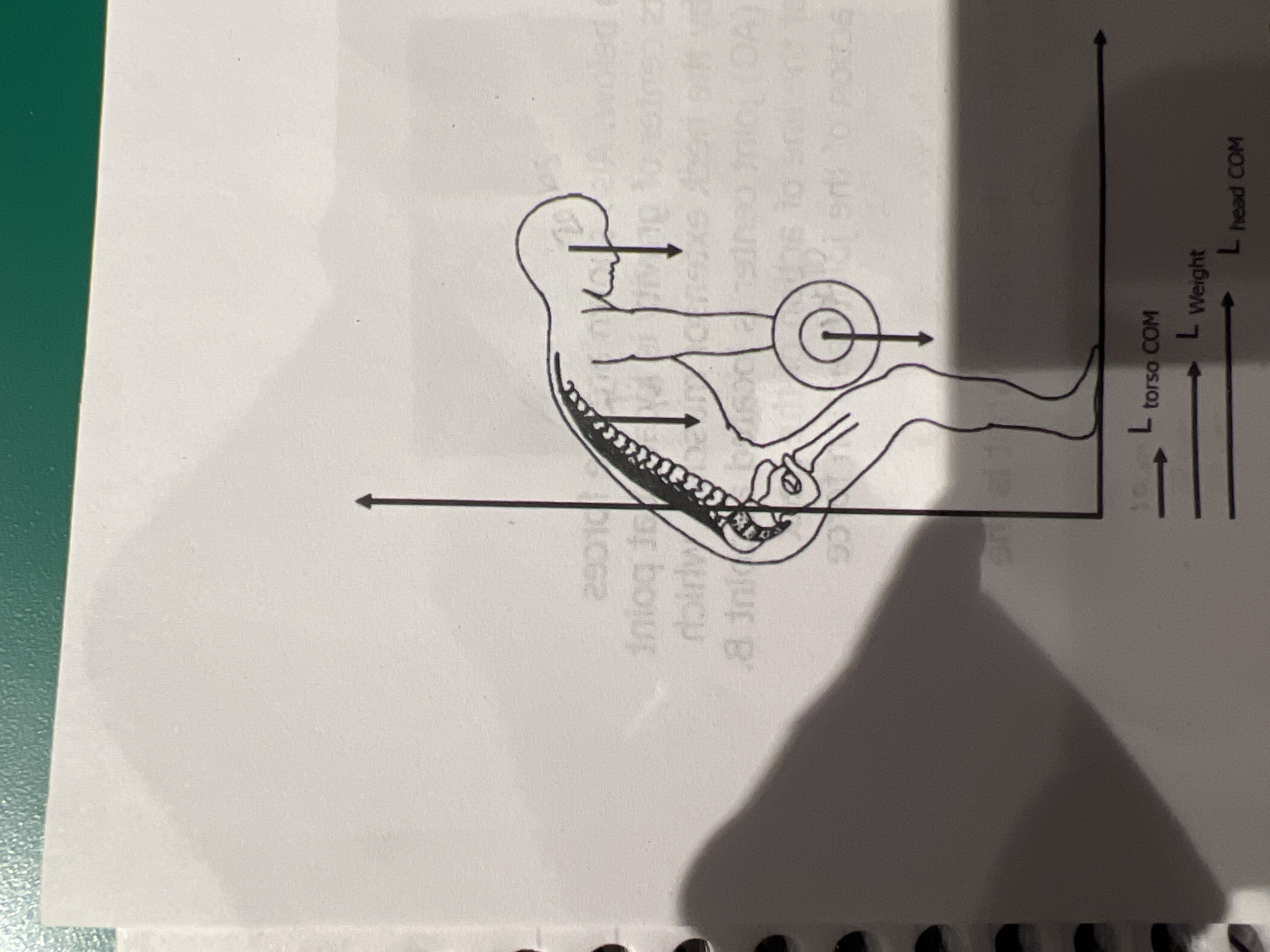 Solved Consider the lifter in the figure below. Calculate | Chegg.com