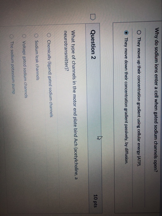 Solved Why do sodium ions enter a cell when gated sodium | Chegg.com