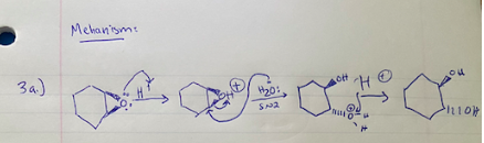 Solved todays product is a 1,2 trans diol the completed | Chegg.com