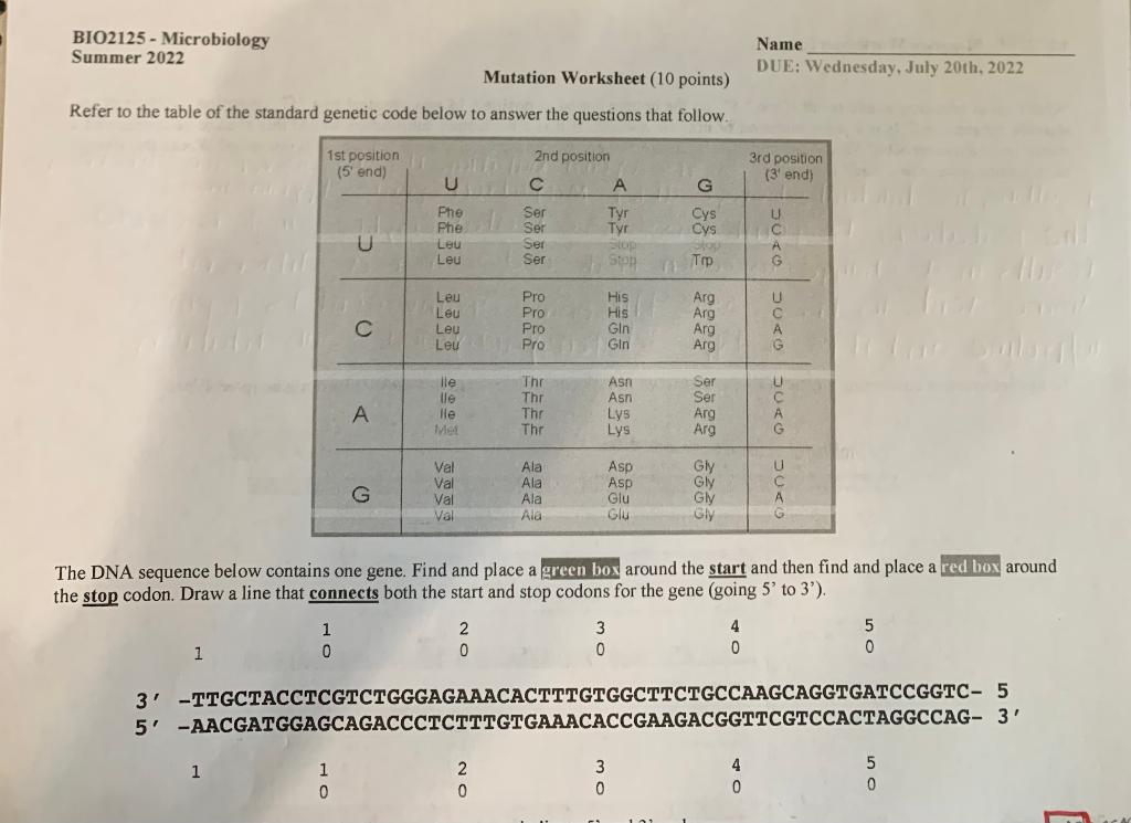 Solved The DNA sequence below contains one gene. Find and | Chegg.com