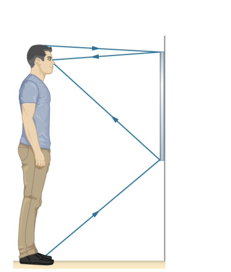 Solved Suppose a man stands in front of a mirror as shown in | Chegg.com