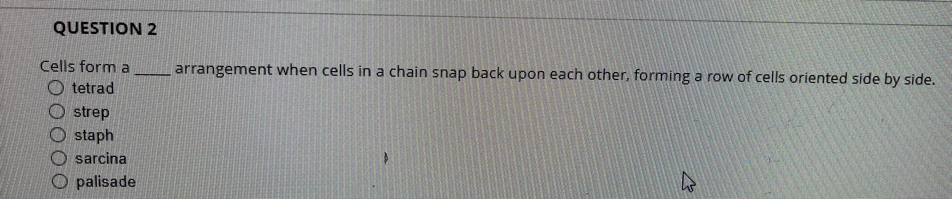 Solved QUESTION 2 arrangement when cells in a chain snap | Chegg.com