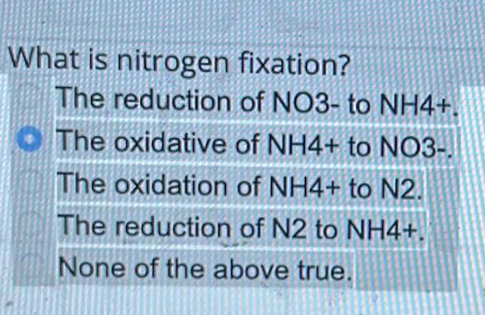 Solved What is nitrogen fixation?The reduction of NO3 - ﻿to | Chegg.com