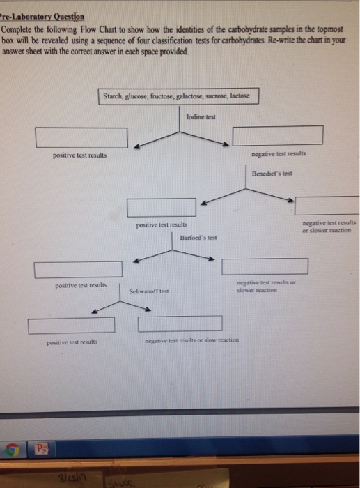 Solved Complete the following flow chart of the | Chegg.com