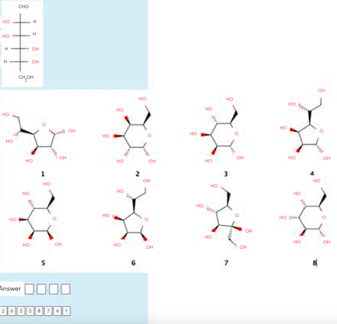 Solved Which of the following structures represents the open | Chegg.com