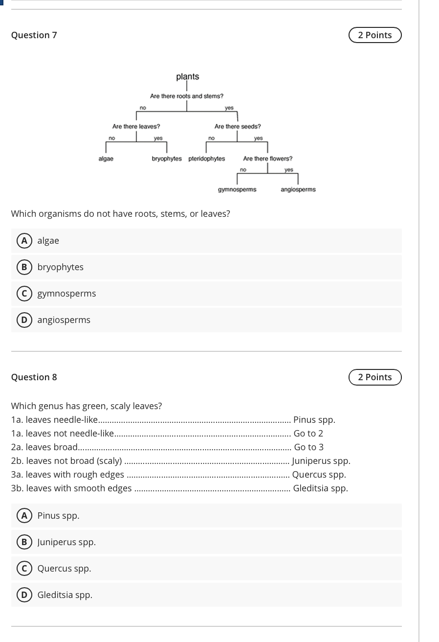 Solved Using the dichotomous key, Bird W is in the genus | Chegg.com