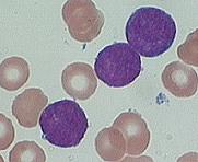 Solved GIVE A DETAILED NOTE ON EACH OF THE | Chegg.com