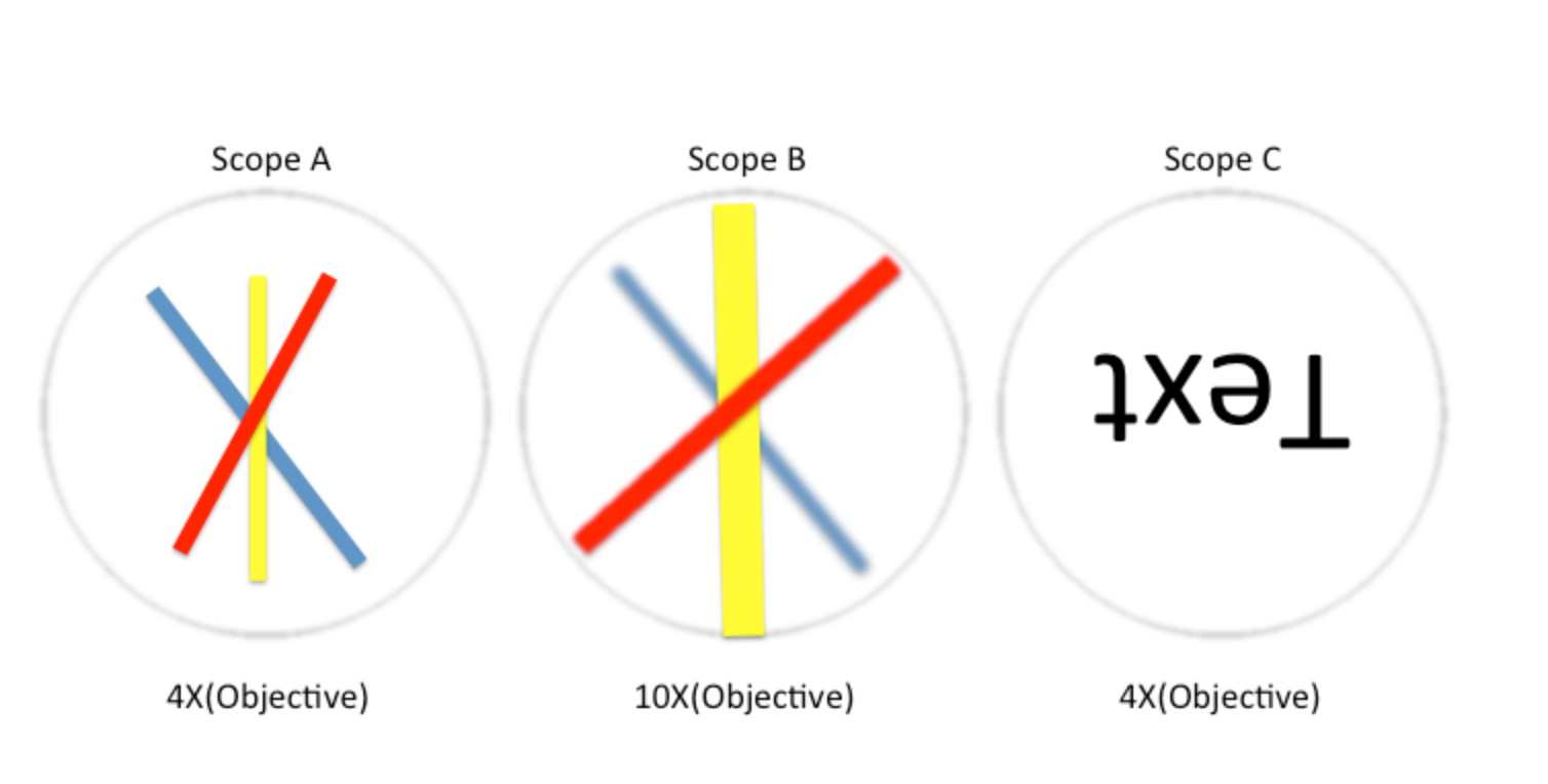 Solved Scope A Scope B Scope C x x 7XƏl 4X(Objective) | Chegg.com