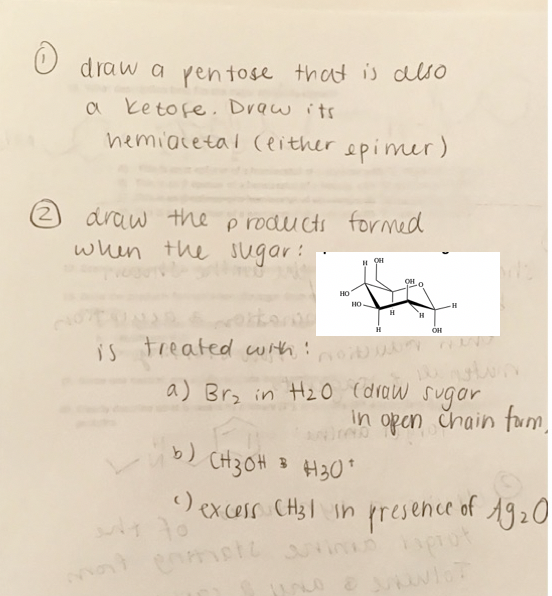 Solved draw a pentose that is also a ketose. Draw its | Chegg.com
