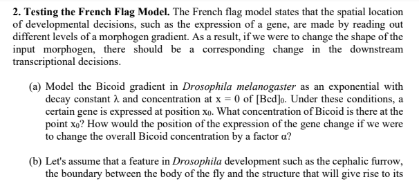 2. Testing the French Flag Model. The French flag | Chegg.com