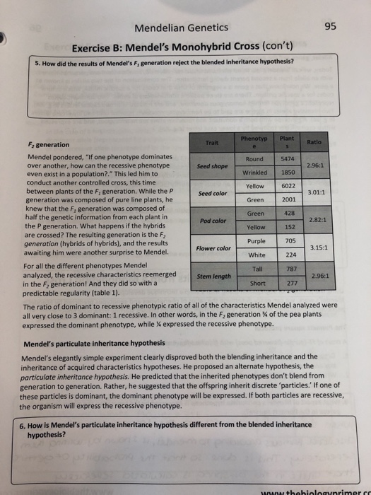 Solved Mendelian Genetics 95 Exercise B: Mendel's Monohybrid | Chegg.com