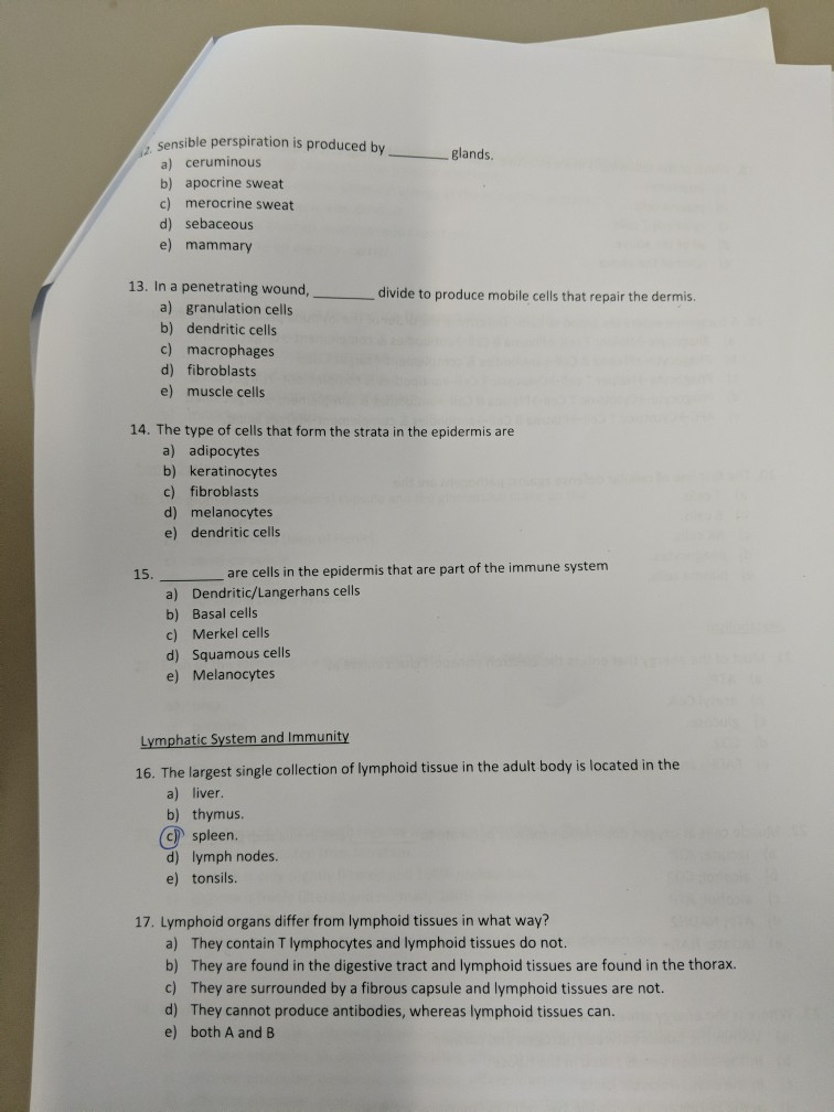 Solved Part A: Multiple Choice Questions. A stretch reflex | Chegg.com