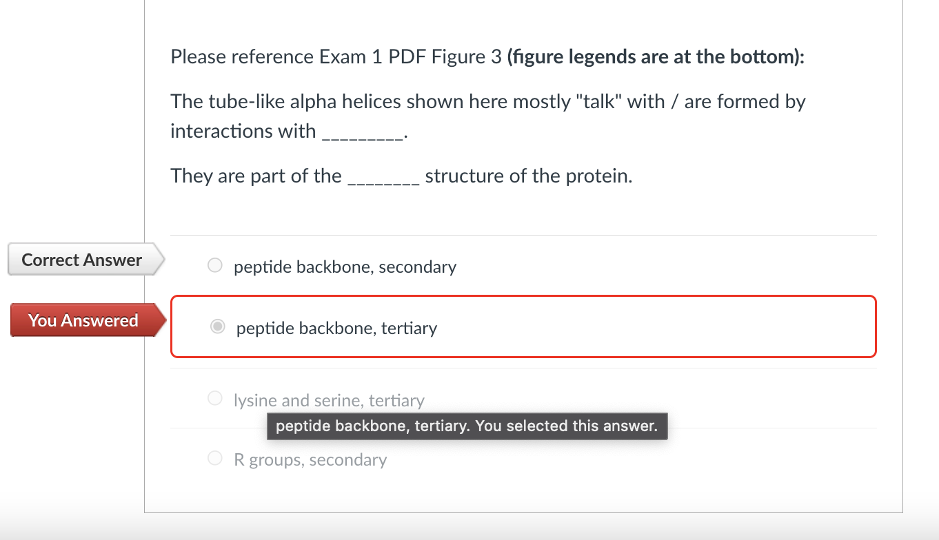 Solved Please explain why BOTH these answers are wrong and | Chegg.com