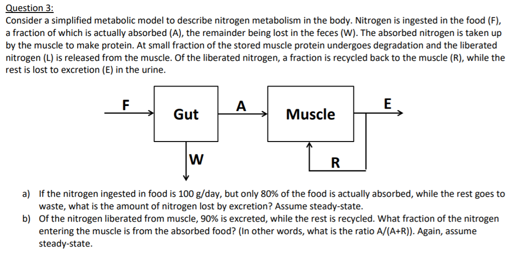 Solved Question 3: Consider a simplified metabolic model to | Chegg.com