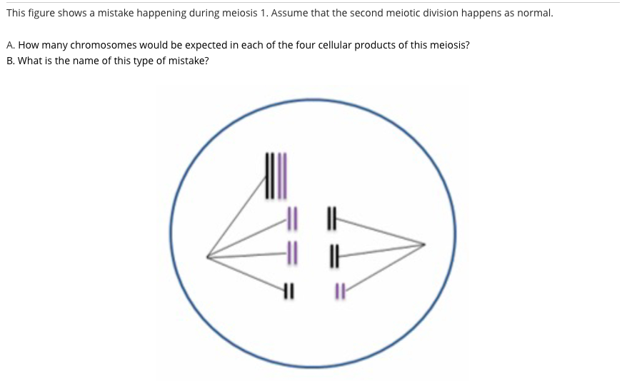 Solved This figure shows a mistake happening during meiosis | Chegg.com