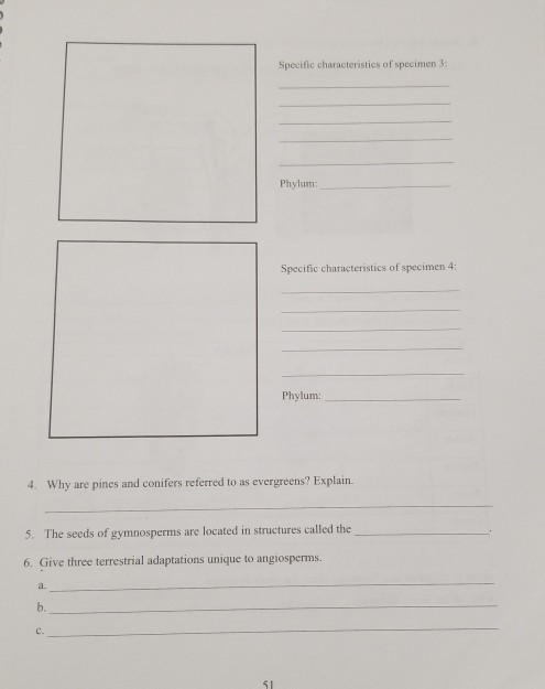 Solved Specific characteristics of specimen 3: Phylum | Chegg.com