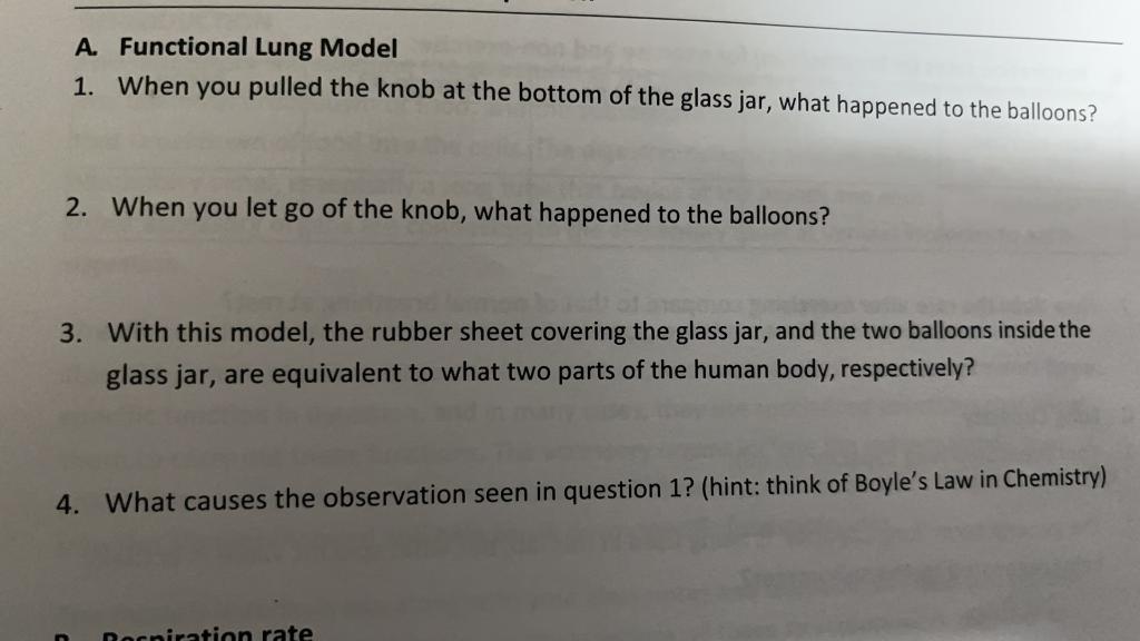 Solved A. Functional Lung Model 1. When you pulled the knob | Chegg.com
