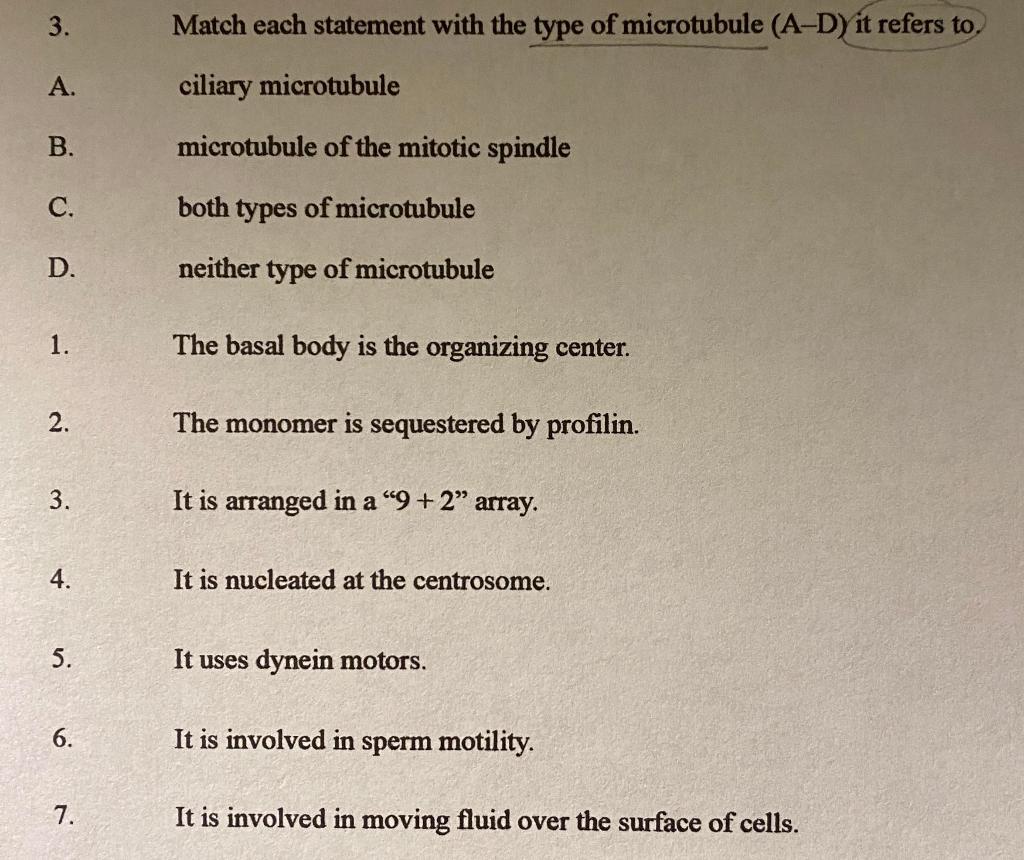 Solved 3. Match each statement with the type of microtubule | Chegg.com