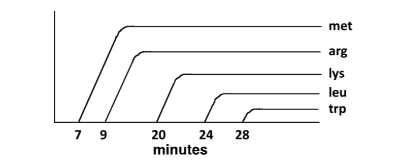 Solved In an interrupted mating mapping experiment, you | Chegg.com
