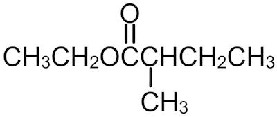 Solved CH3CH2OCCHCH2CH3 CH3 | Chegg.com
