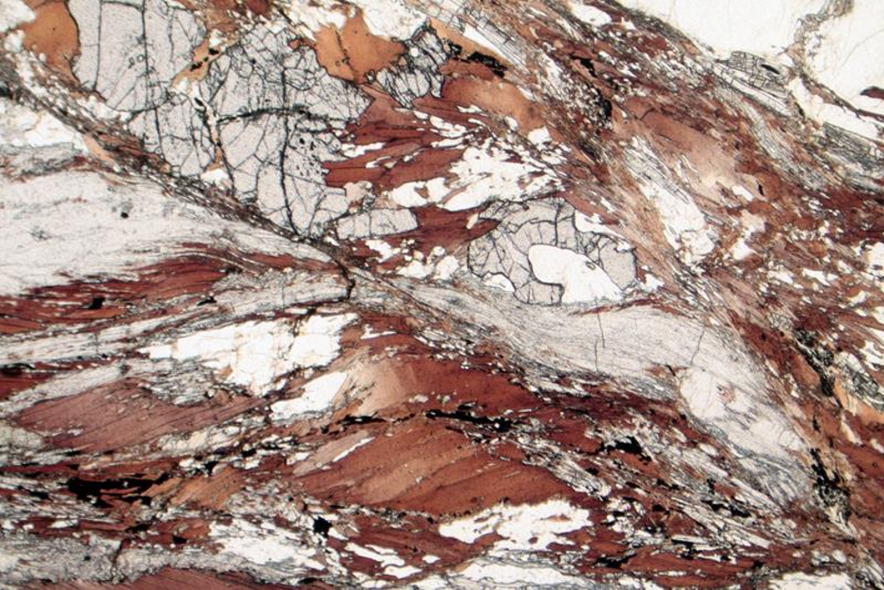 Solved Pelitic protolith (series A): greenschist, | Chegg.com