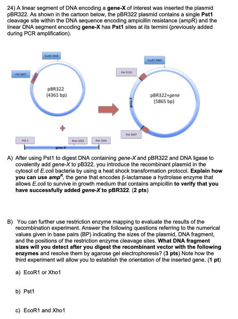 Solved Hi this is a biochemistry question, please help so i | Chegg.com