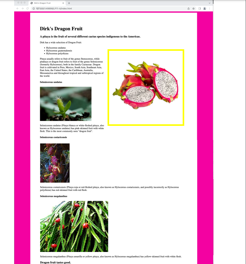 Solved Hello, Today I learn about div tags, the box model, | Chegg.com