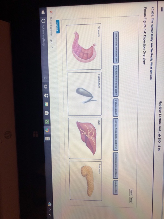 Solved CSecure | https//session Nutrition Lecture and Lab | Chegg.com