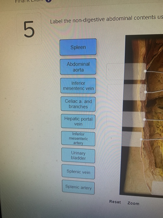 Solved w/connecthu Saved dominal contents using the hints if | Chegg.com
