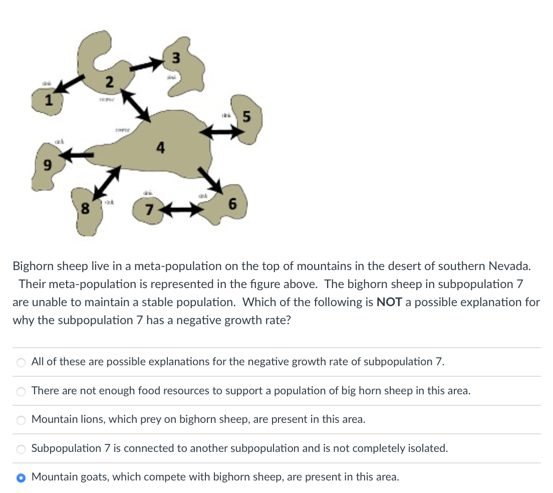Solved Bighorn sheep live in a meta-population on the top of | Chegg.com