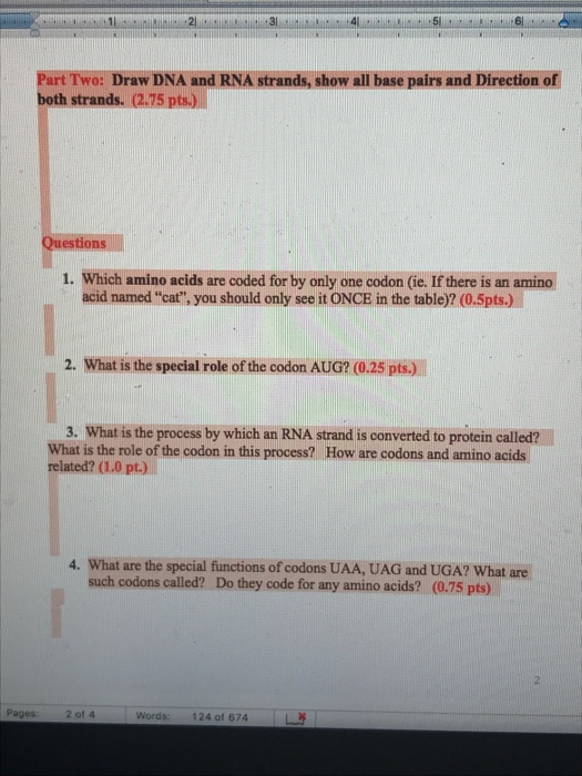 Solved Draw DNA and RNA strands, show all base pairs and | Chegg.com