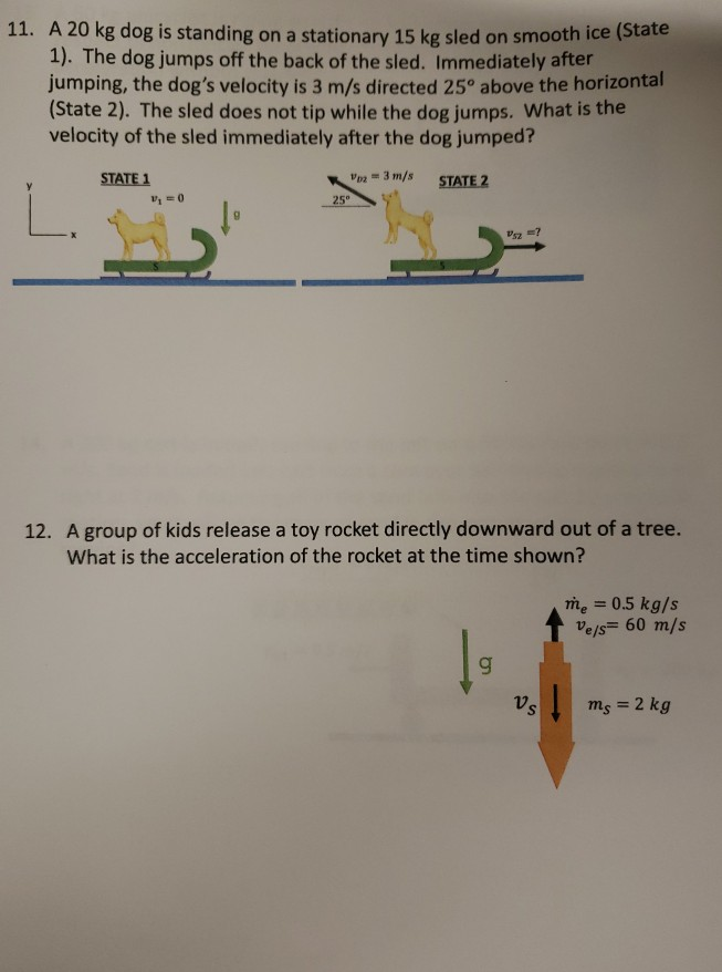 Solved 11. A 20 kg dog is standing on a stationary 15 kg | Chegg.com