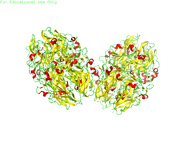 Solved Describe the topology of Collagen type IV surface | Chegg.com