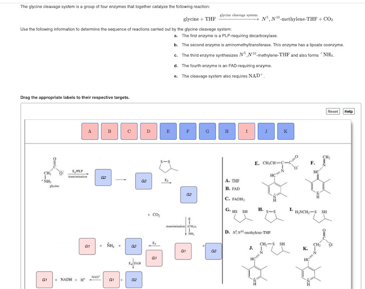 Solved FADH2 reduces a. 8-unsaturated thioesters to | Chegg.com