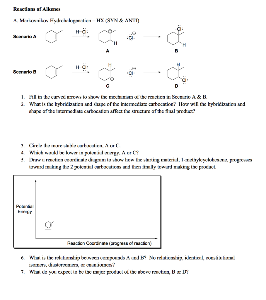 Solved Reactions of Alkenes A. Markovnikov Hydrohalogenation | Chegg.com