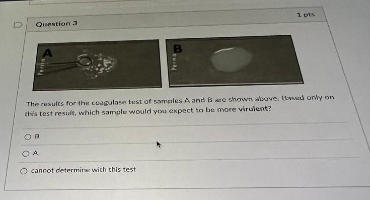 Solved B A Which of the above MSA plates shows fermentation | Chegg.com