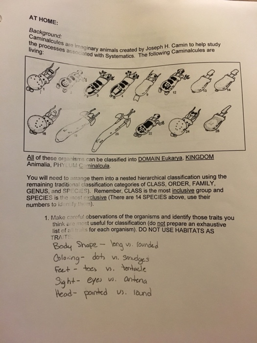 Solved AT HOME: Background: Caminalcules are Ses ssocnary | Chegg.com