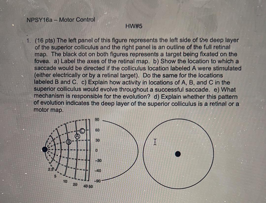 Solved 1. (16 pts) The left panel of this figure represents | Chegg.com