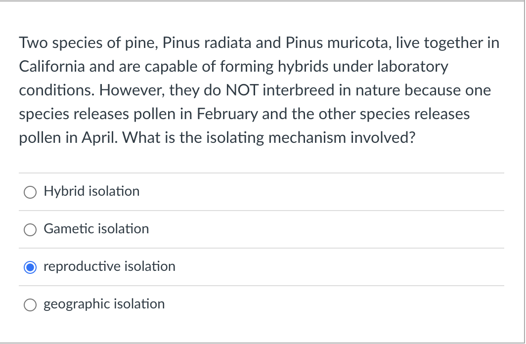 Solved Two species of pine, Pinus radiata and Pinus | Chegg.com