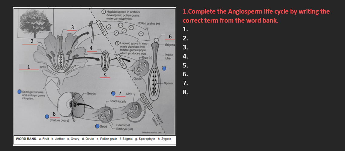 Solved 2.Suppose you take a stroll in the park during | Chegg.com