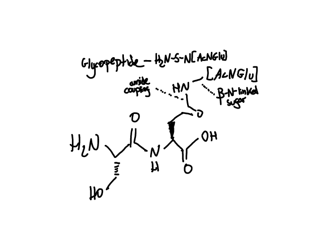 Solved 1) What amide coupling reagent could be used to be | Chegg.com