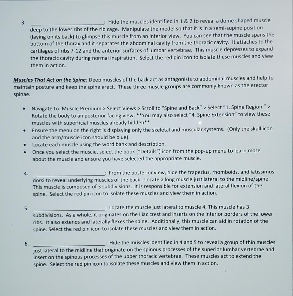 Solved PART 3: Muscles of the Thoracic Cage and Muscles of | Chegg.com