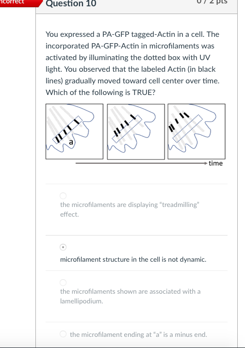Solved correct Question 10 You expressed a PA-GFP | Chegg.com