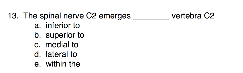 Solved 13. The spinal nerve C2 emerges vertebra C2 a. | Chegg.com