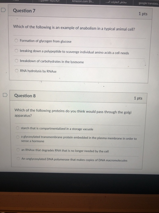 Solved Question 5 1 pts Based on subcellular structures of | Chegg.com
