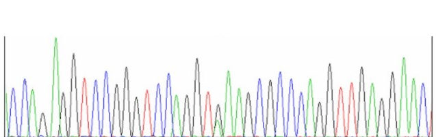 Solved Below is an electropherogram of a segment of DNA from | Chegg.com