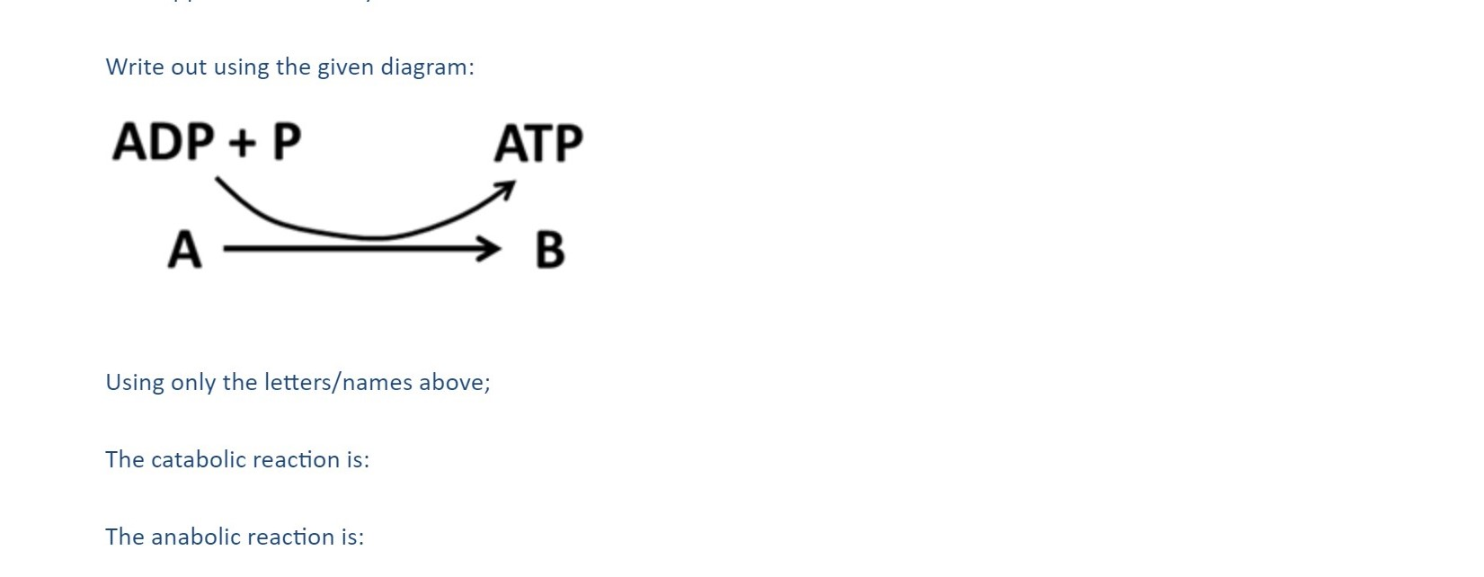 Solved Write out using the given diagram: ATP ADP + P A_ B | Chegg.com
