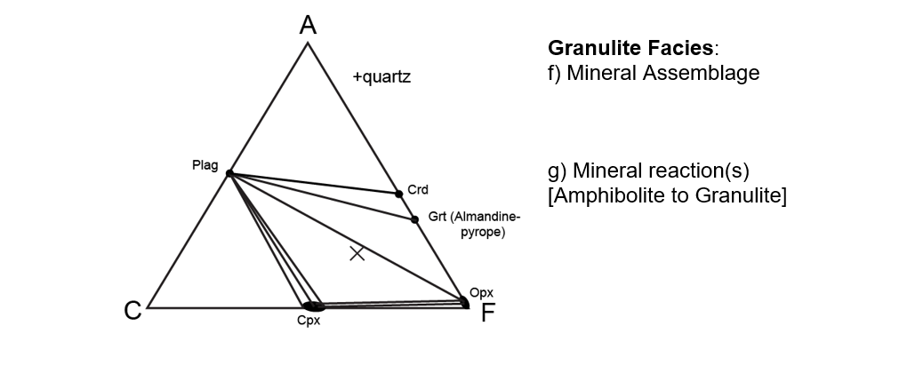 Solved For the mafic protolith rock composition shown as “X” | Chegg.com