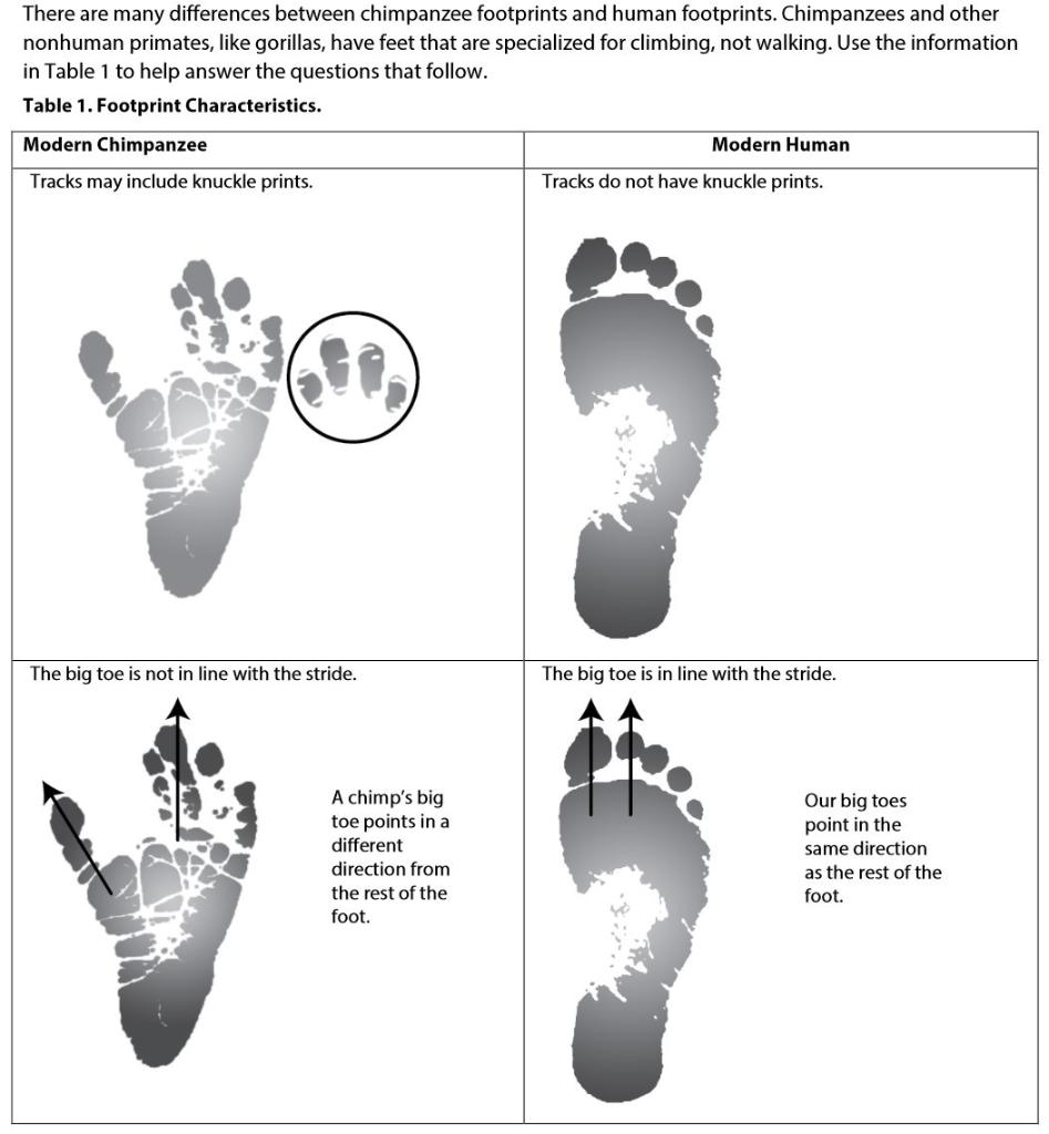 Solved Humans, along with familiar species such as | Chegg.com