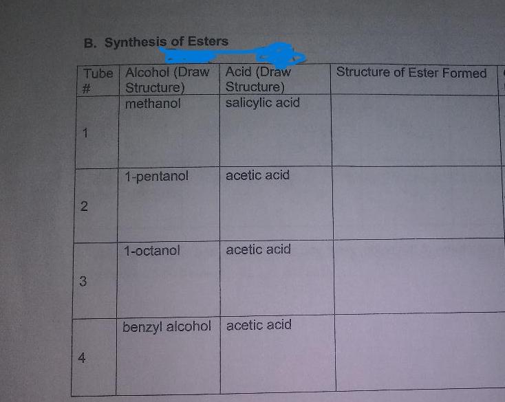 Solved B. Synthesis of Esters Structure of Ester Formed Tube | Chegg.com